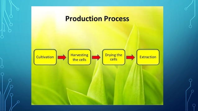 Single cell oil | PPTX | Chemistry | Science
