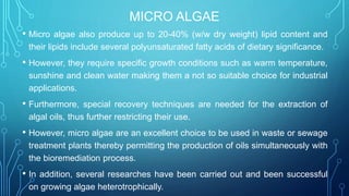 Single cell oil | PPTX