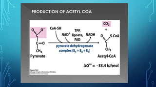 Single cell oil | PPTX