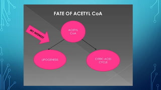 Single cell oil | PPTX