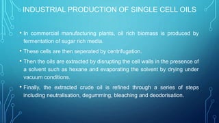 Single cell oil | PPTX