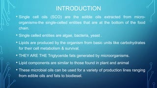 Single cell oil | PPTX