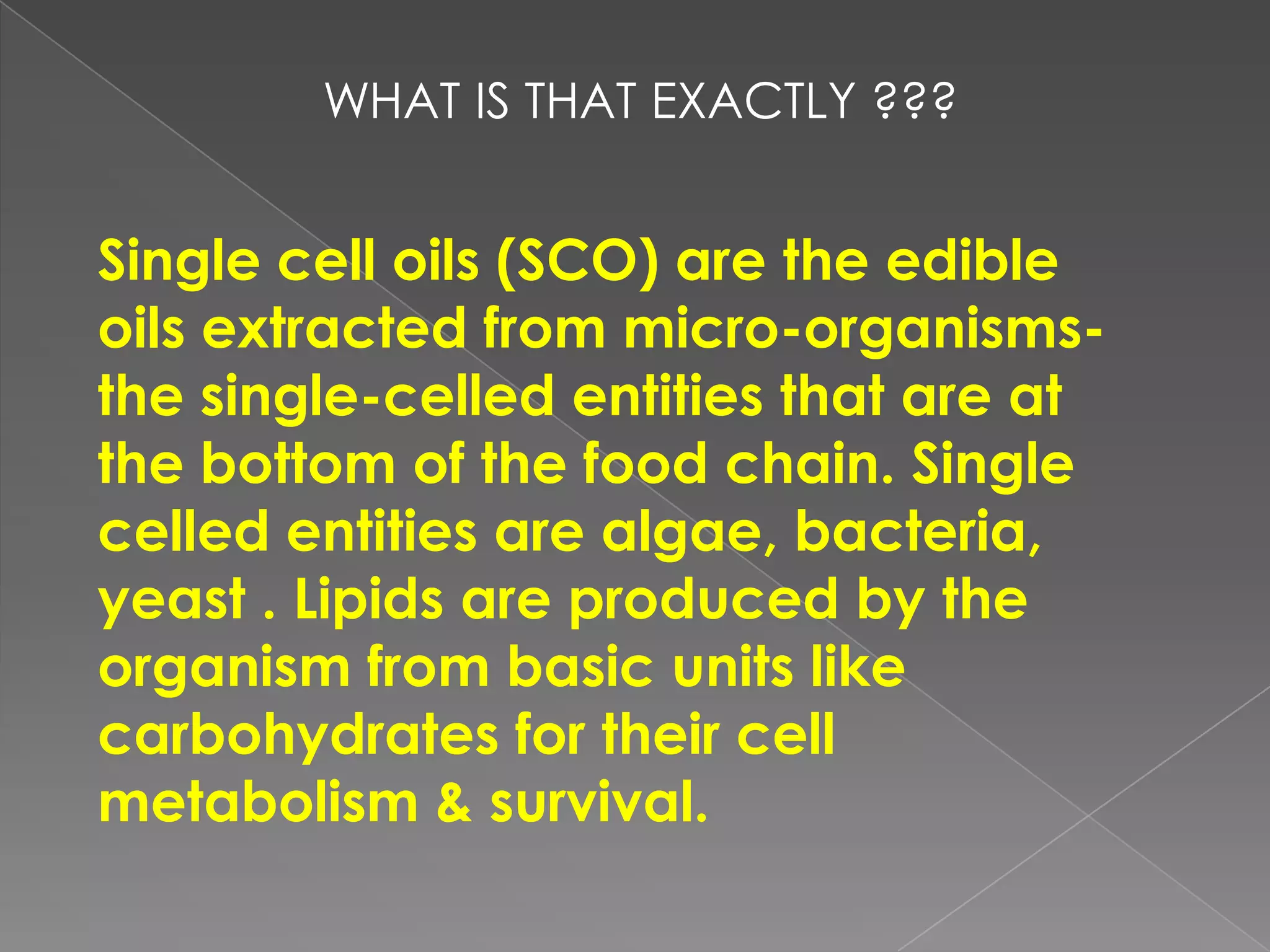 Single cell oil production | PPTX