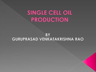 Single cell oil production | PPTX