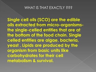 Single cell oil production | PPTX