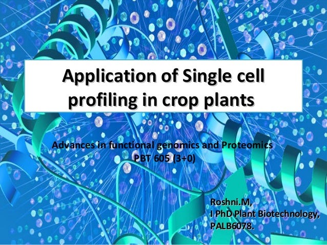 Single cell profiling in crop plants