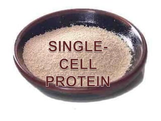 Single cell protein | PPTX