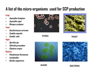 Single cell protein | PPTX