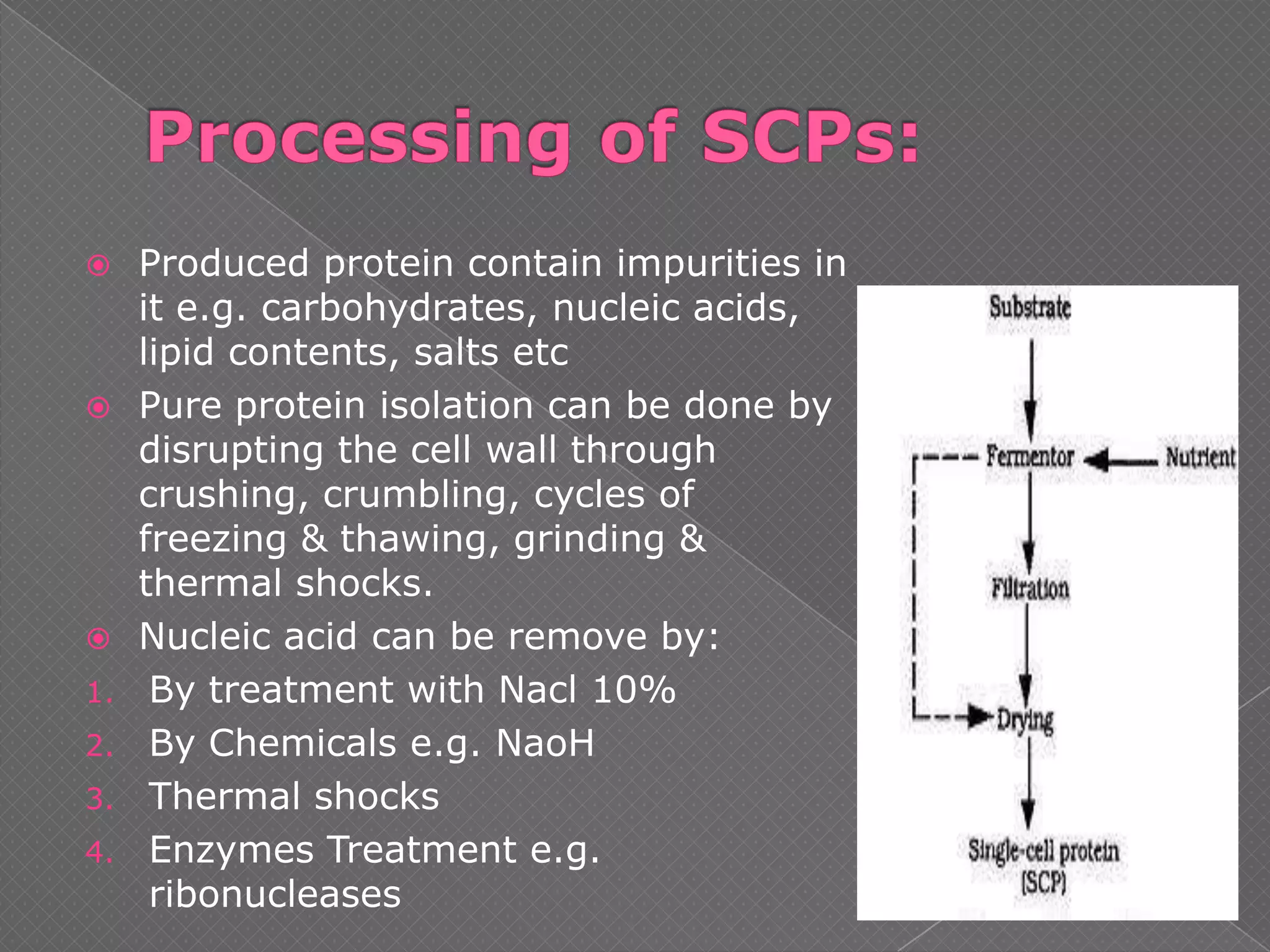 Single cell protein | PPTX