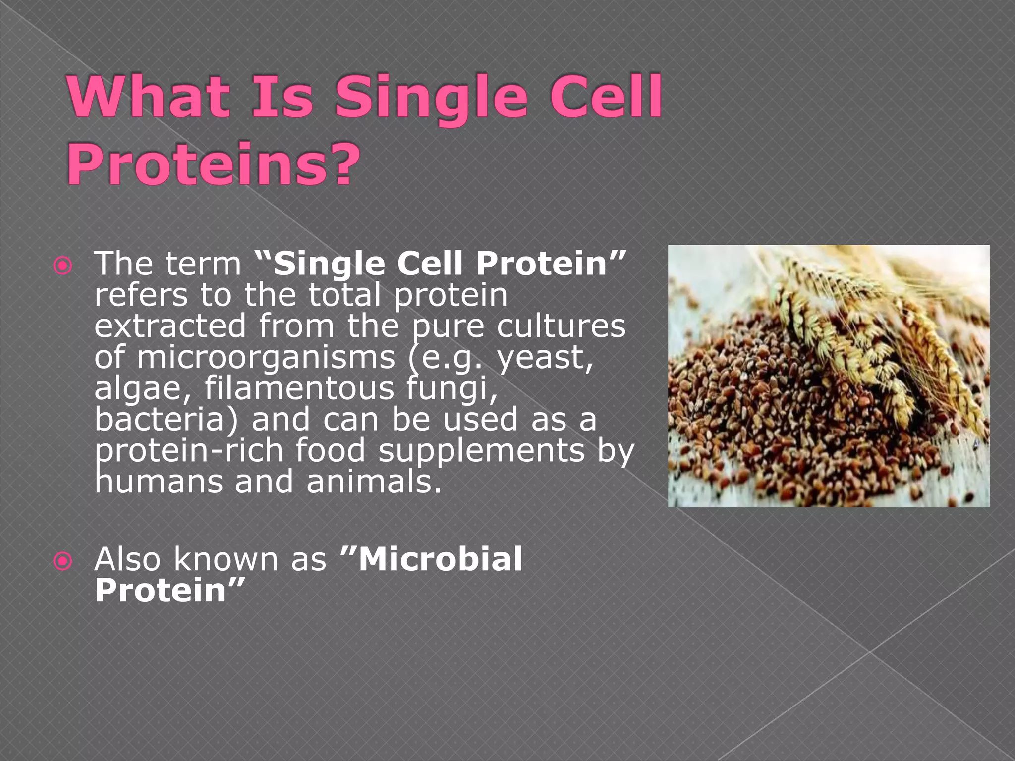 Single cell protein | PPTX