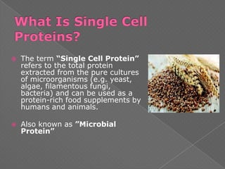 Single cell protein | PPTX | Chemistry | Science