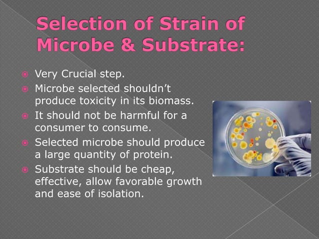 Single cell protein | PPTX | Chemistry | Science