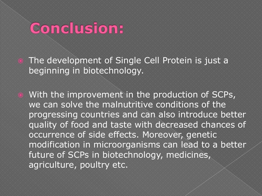 Single cell protein