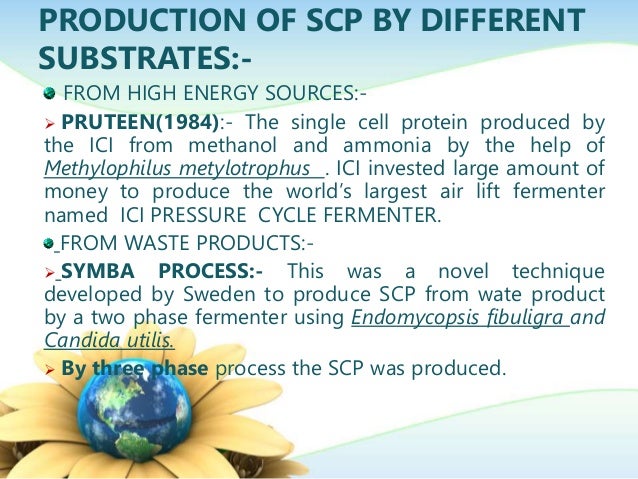 Single Cell Protein Production And Process - vrogue.co Single Cell Protein Production And Process - vrogue.co