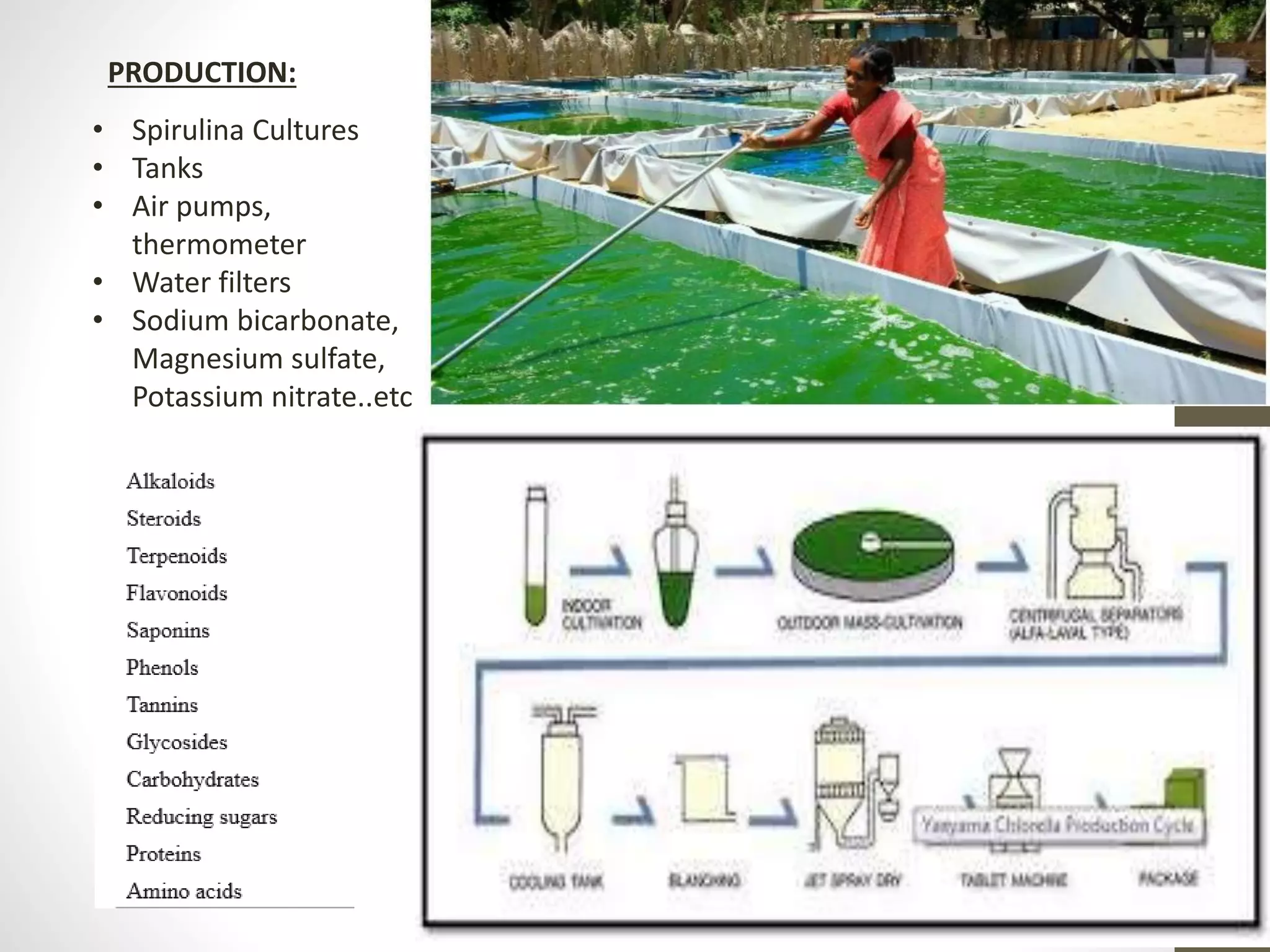 Single cell protein | PPTX
