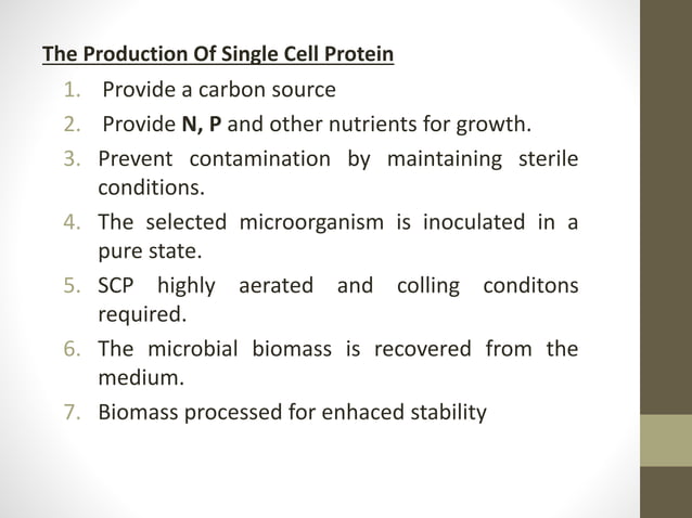 Single cell protein | PPTX | Chemistry | Science