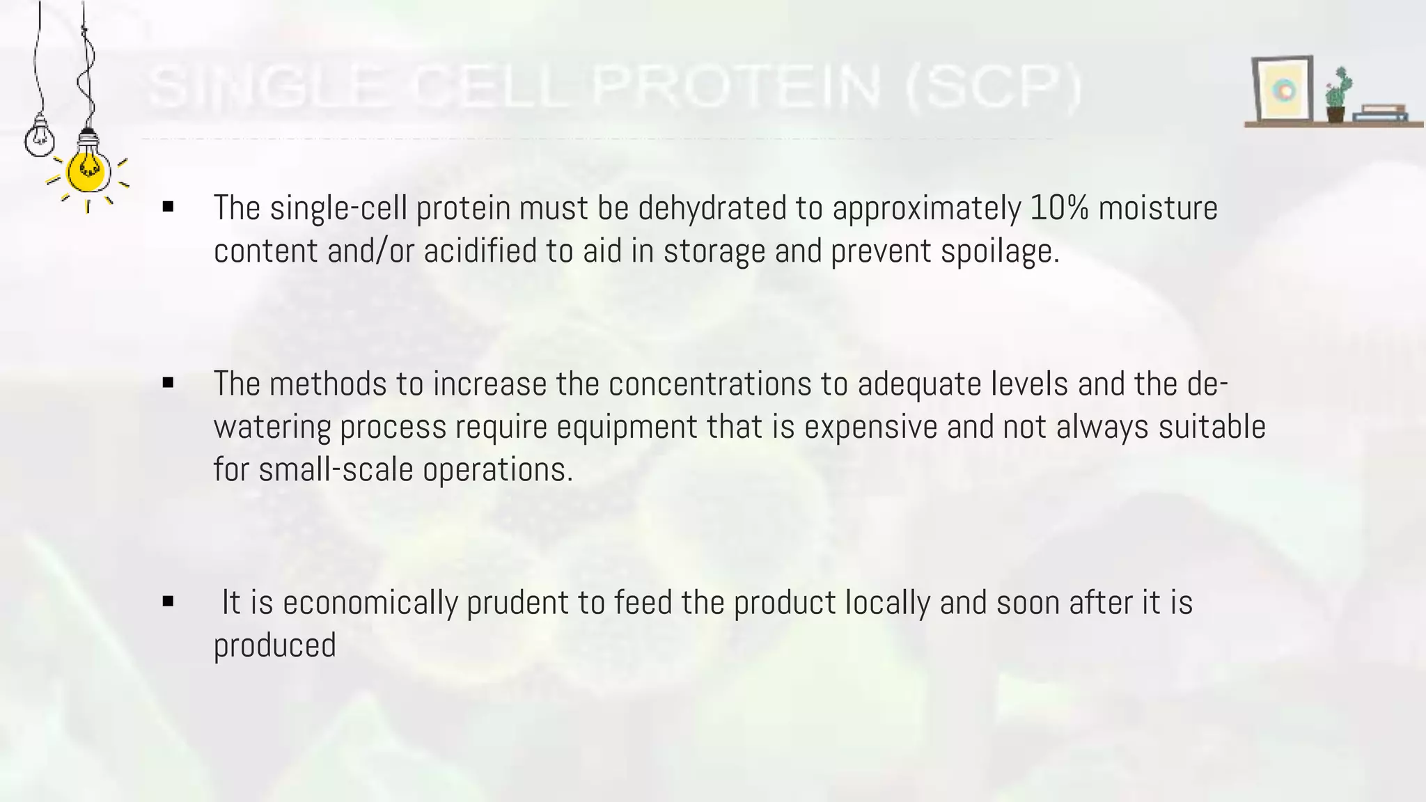 Single cell protein | PPTX