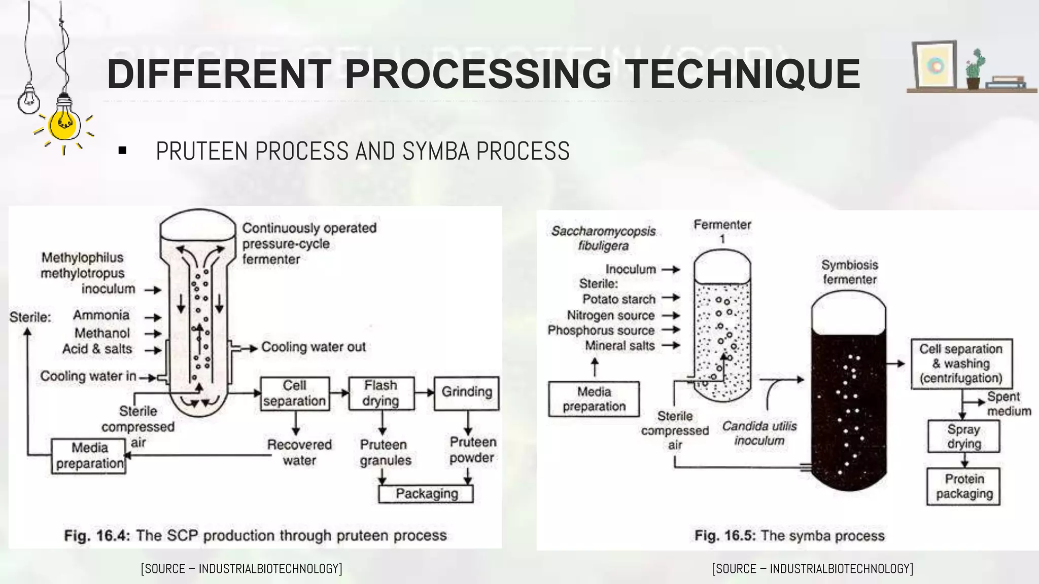 Single cell protein | PPTX
