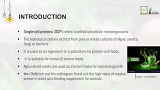 Single cell protein | PPT