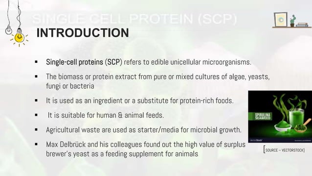 Single cell protein | PPT