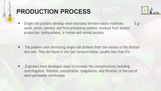 Single cell protein | PPT