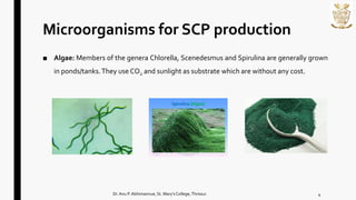 Single cell protein | PPTX