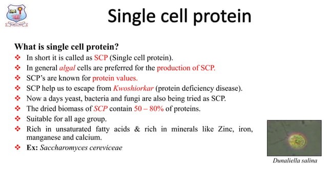 Single cell protein | PPT