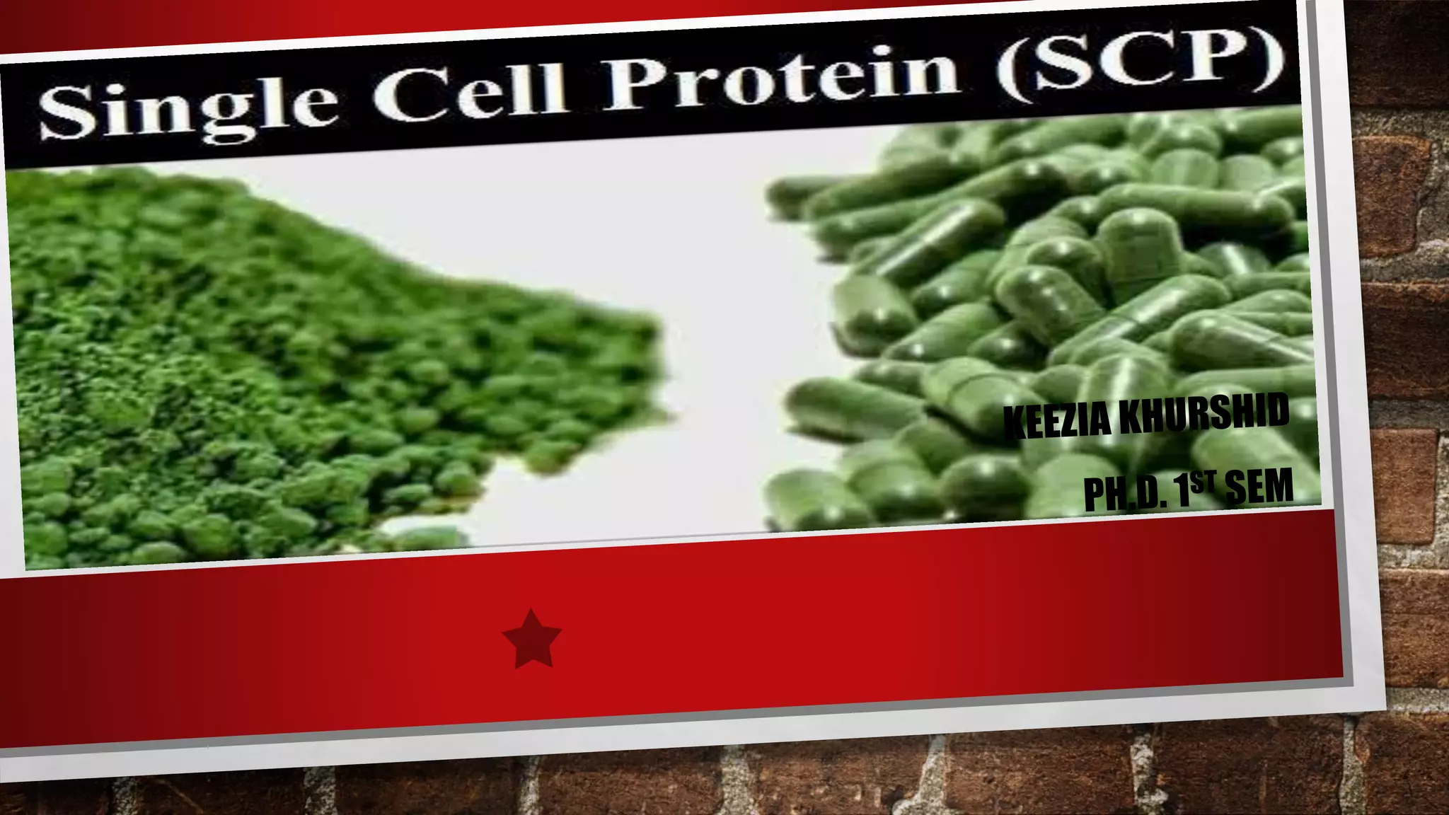 Single cell protein | PPTX