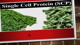 Single cell protein | PPT