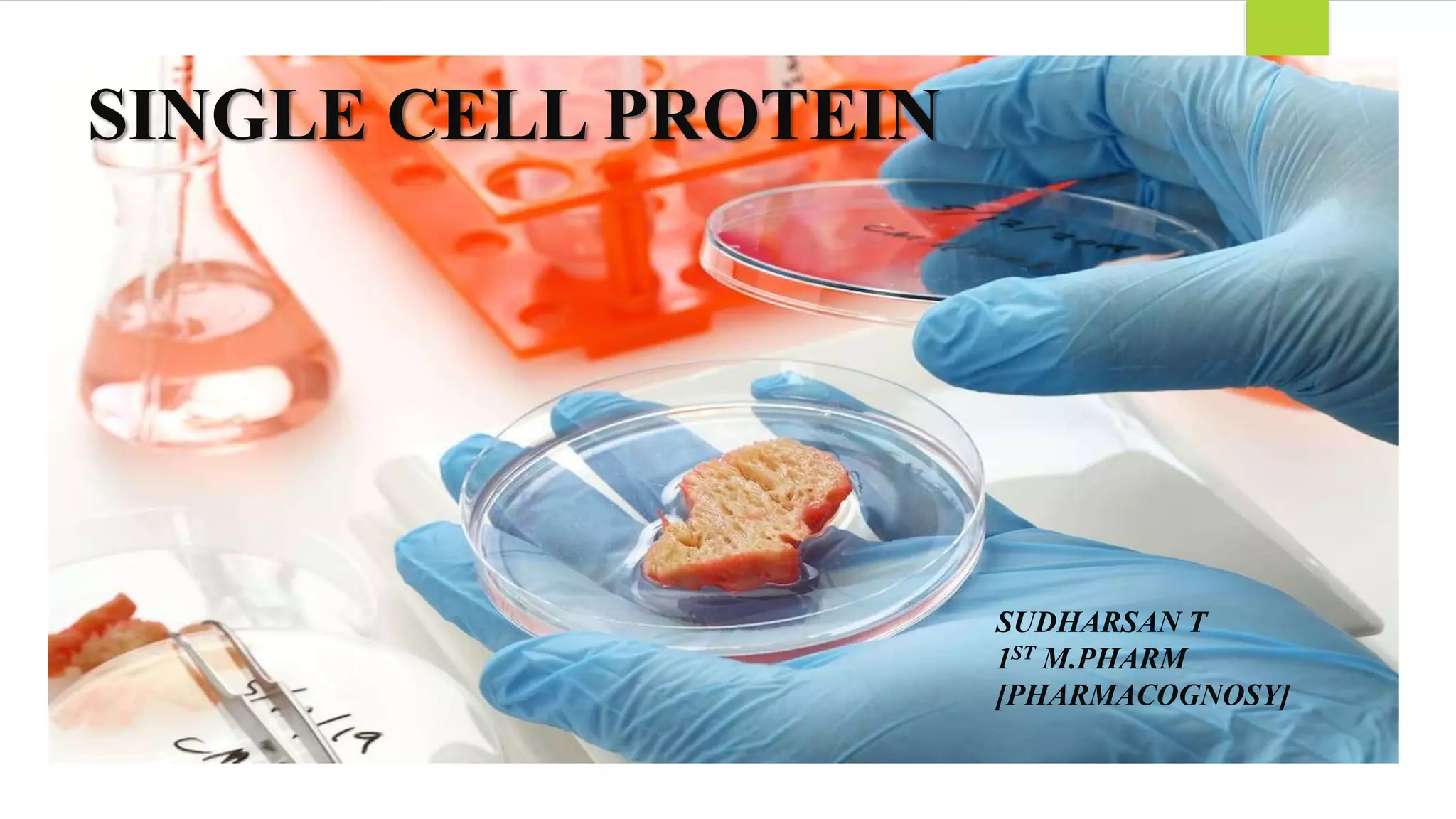 SINGLE CELL PROTEIN.pptx