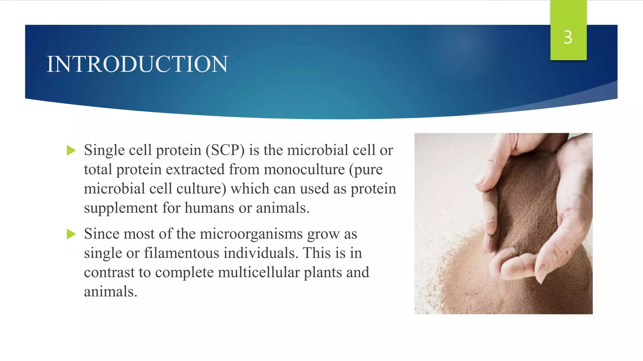 SINGLE CELL PROTEIN.pptx