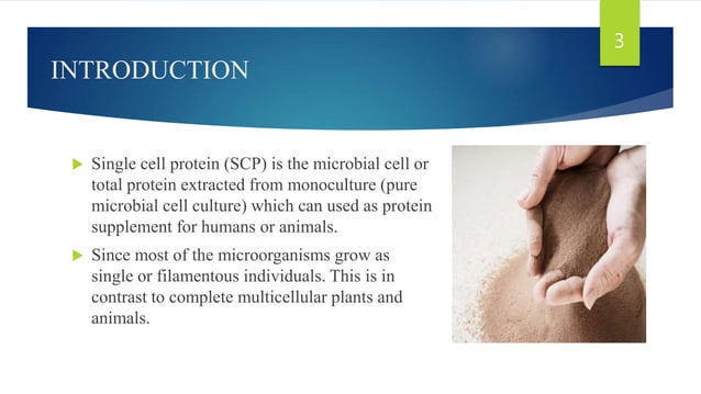 SINGLE CELL PROTEIN.pptx | Nutrition | Healthy Living