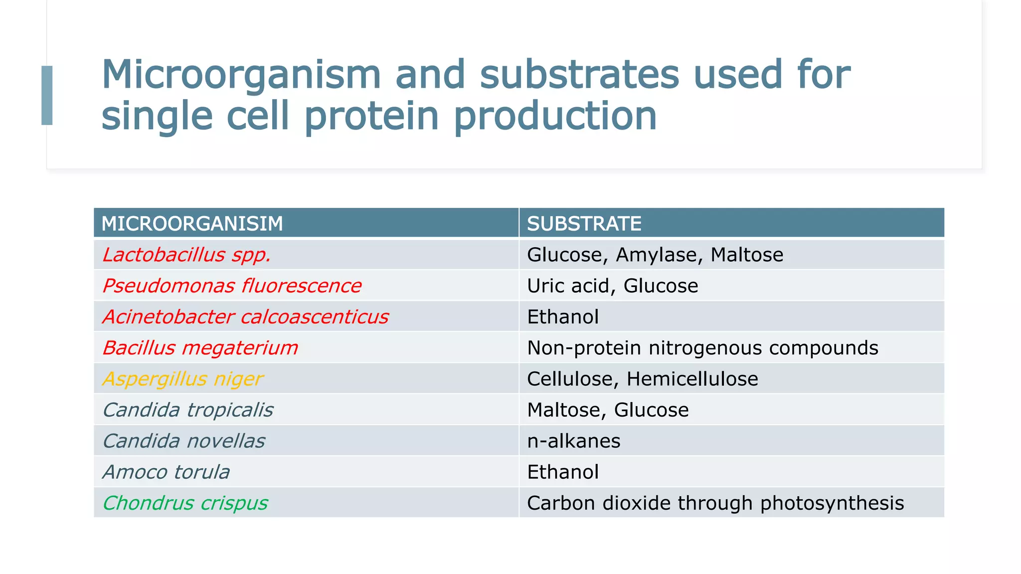 Single Cell Protein.pptx