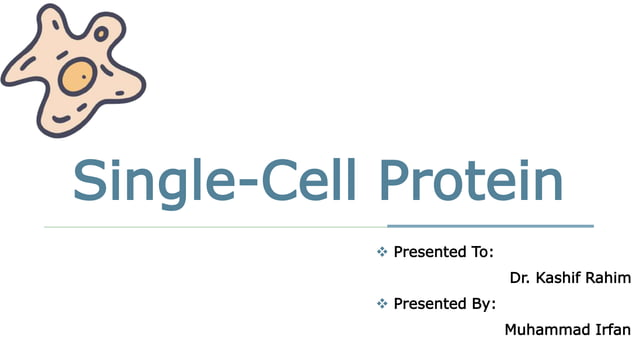 Single Cell Protein.pptx