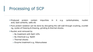 Single Cell Protein.pptx