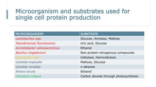 Single Cell Protein.pptx