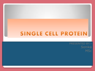 Single cell protein | PPTX