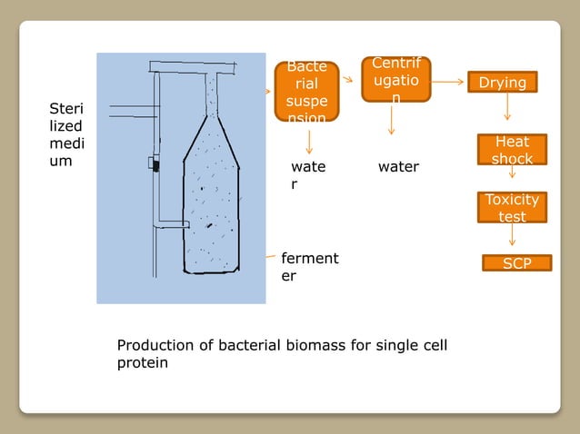 Single cell protein | PPTX