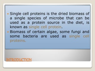 Single cell protein | PPTX