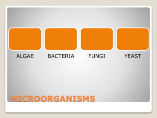 Single cell protein | PPTX