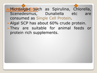 Single cell protein | PPTX