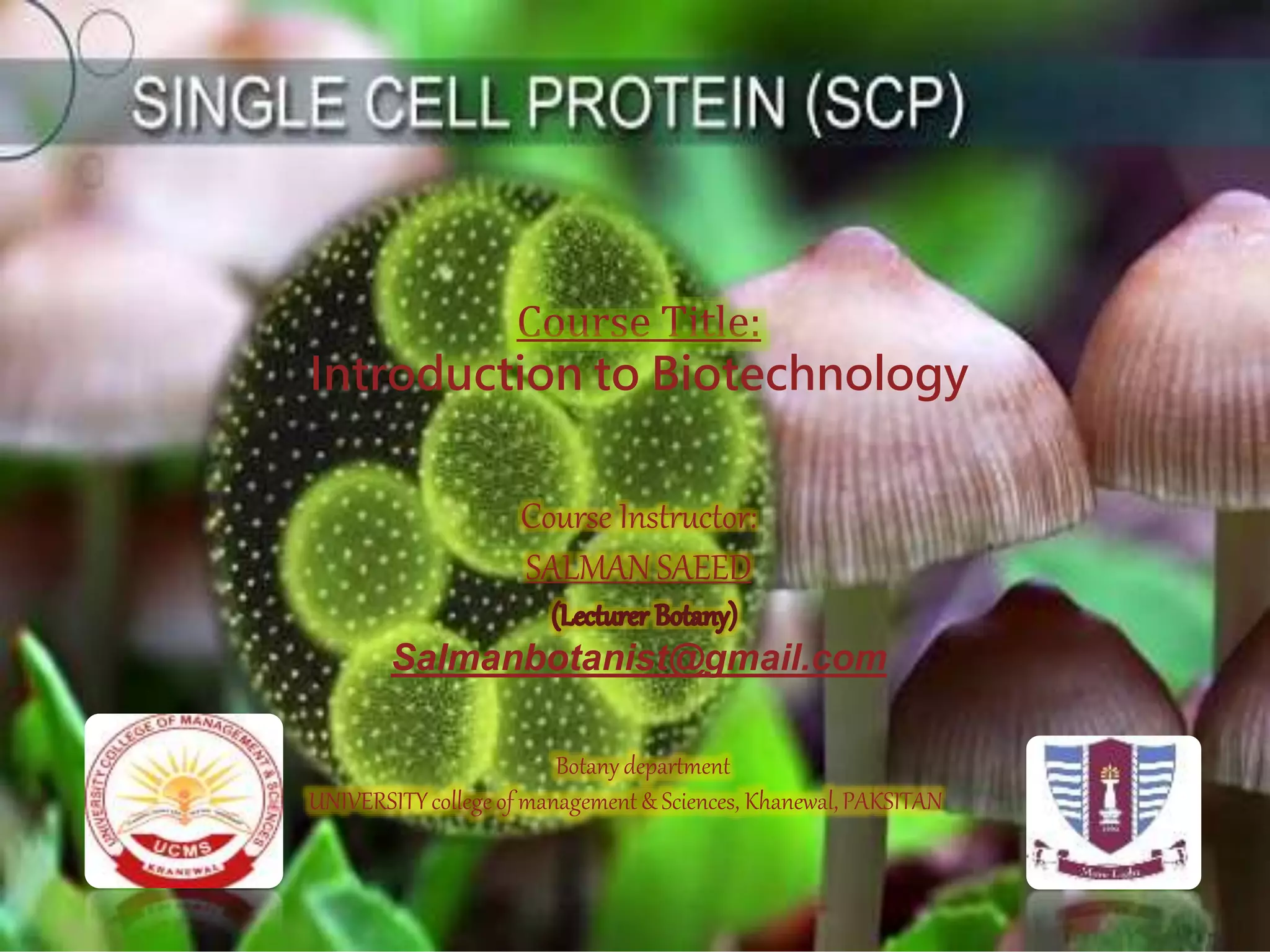 Single Cell Protein by Salman Saeed | PPT