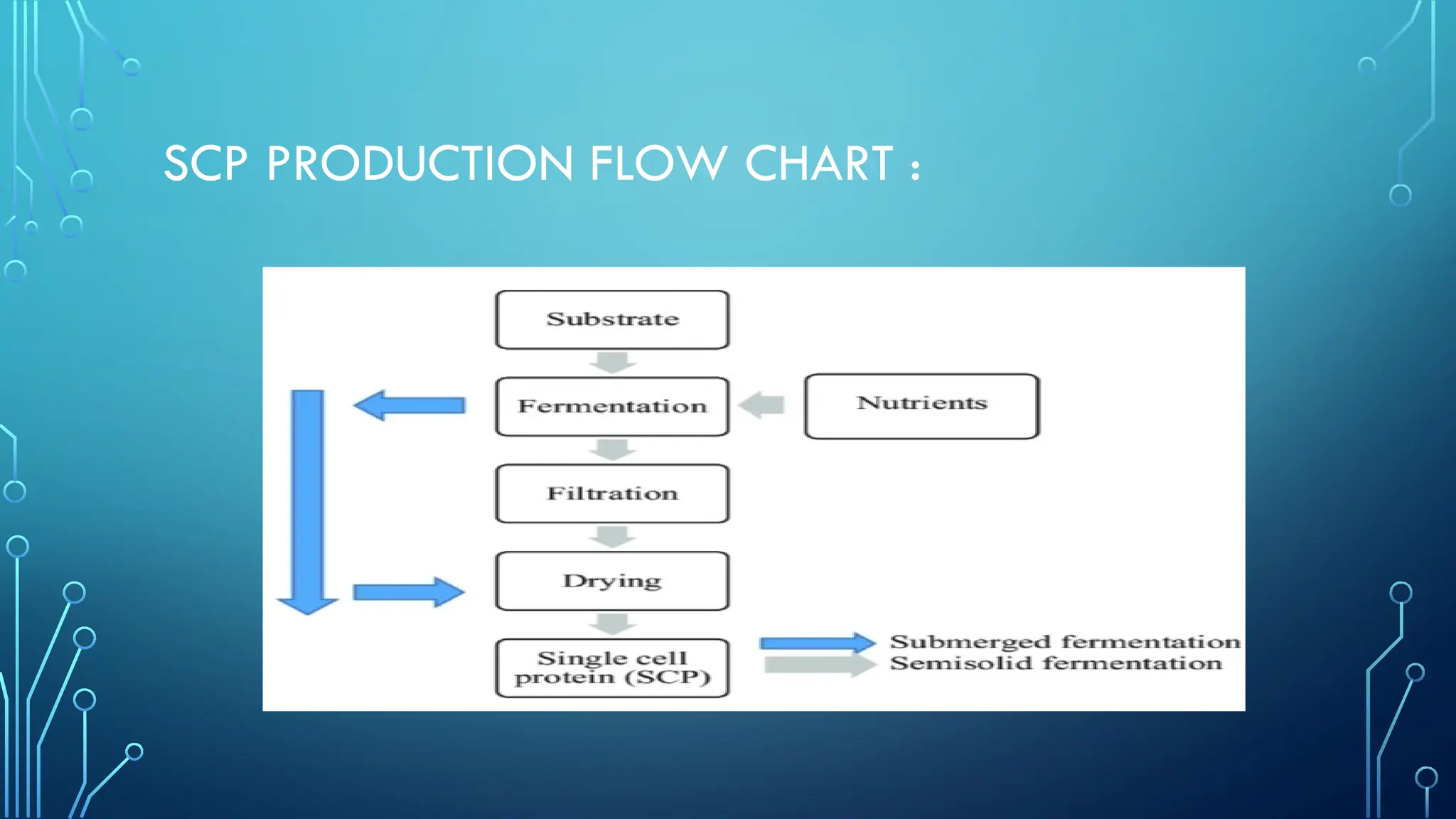 single cell proteins (SCP) ppt,slideshare. | PPTX