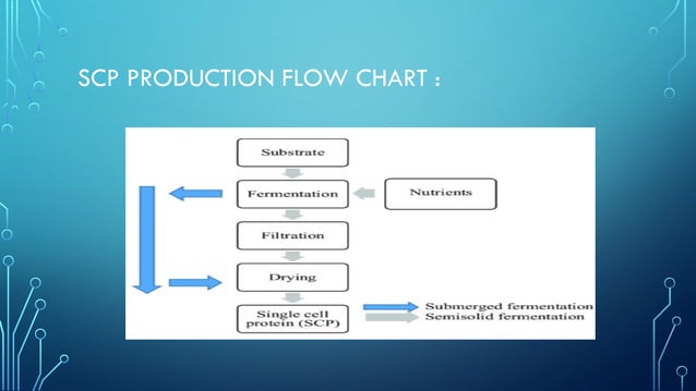 single cell proteins (SCP) ppt,slideshare. | PPT