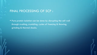 single cell proteins (SCP) ppt,slideshare. | PPTX