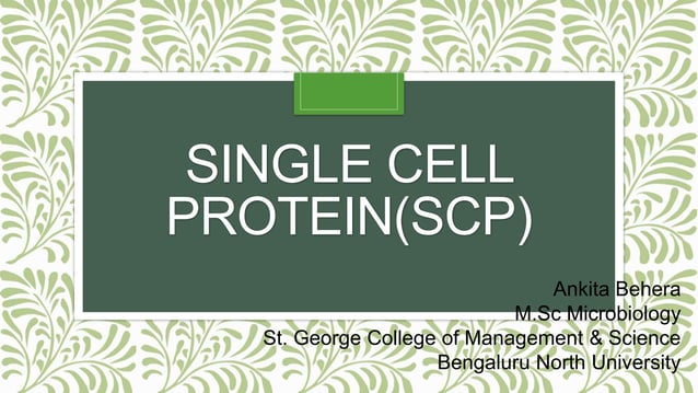 Single cell protein(scp) | PPTX | Nutrition | Healthy Living