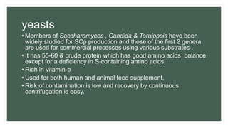 Single cell protein(scp) | PPTX