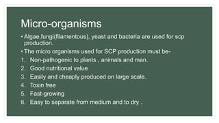 Single cell protein(scp) | PPTX