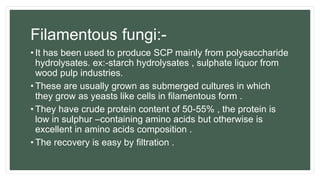 Single cell protein(scp) | PPTX