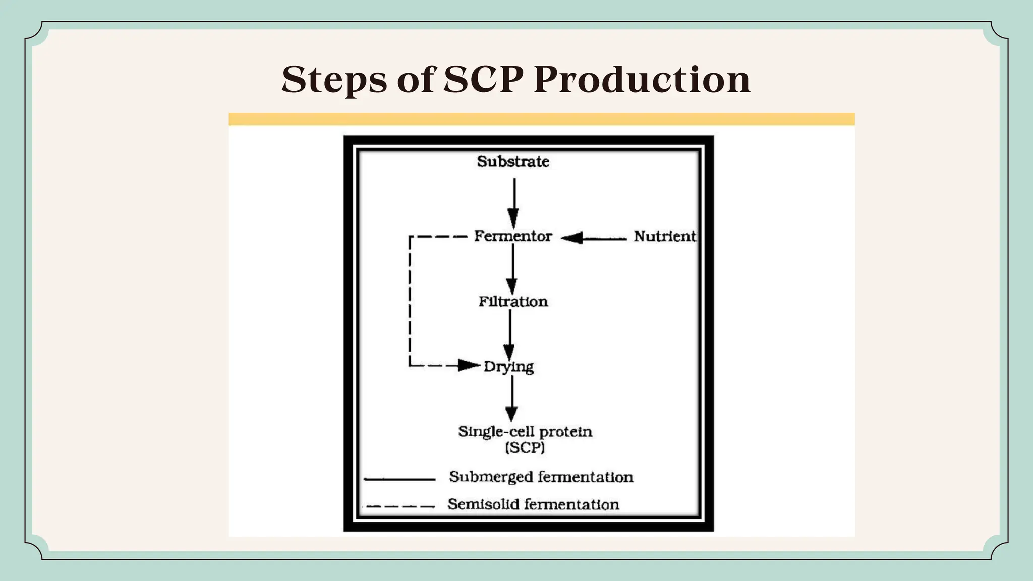 Single cell Protein(SCP), Introduction of SCP, Importance, types and ...